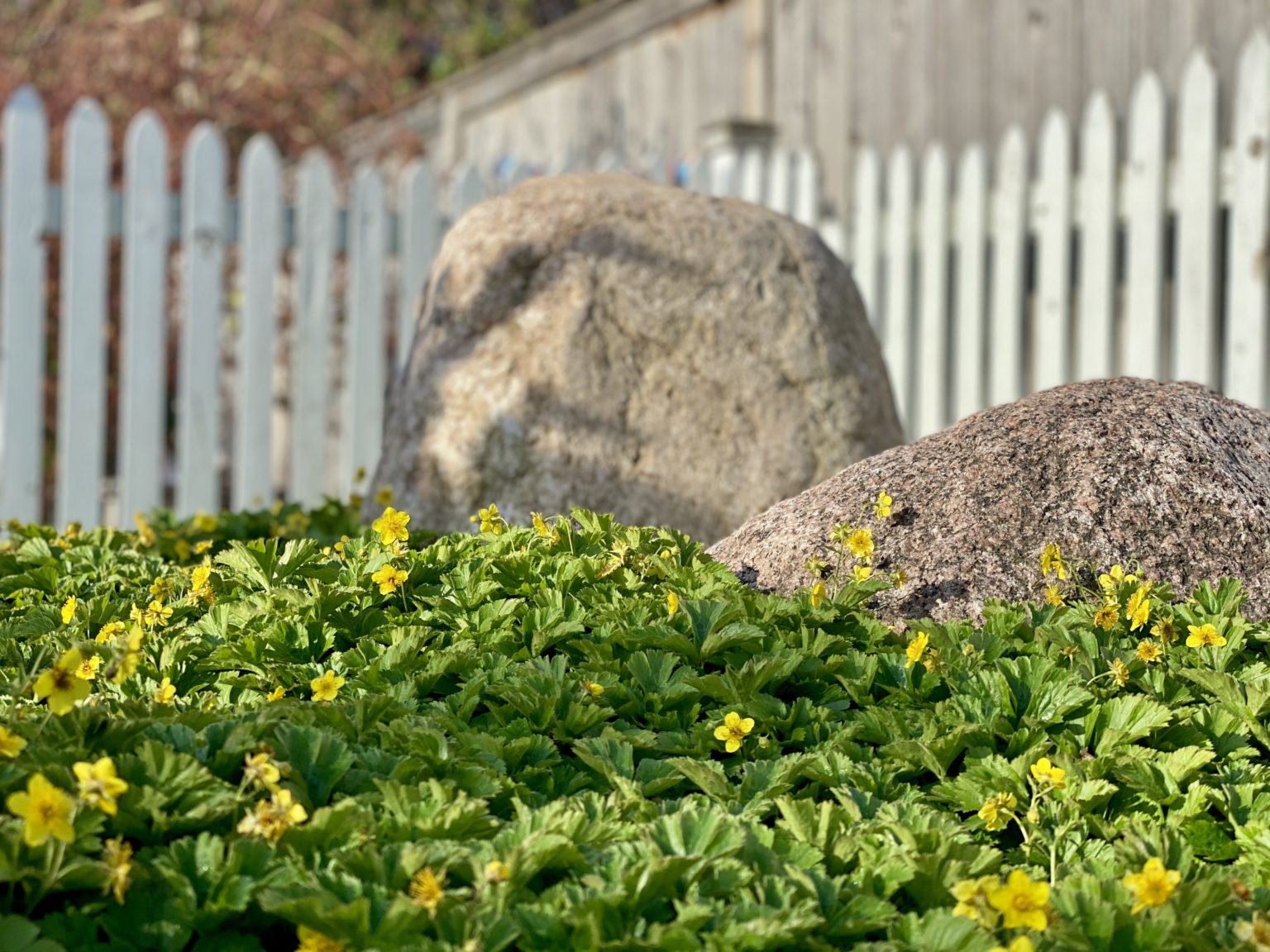 Sustainable Landscaping: Eco-Friendly Design Choices for 2025 ...
